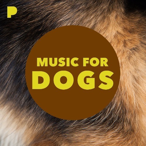Music For Dogs Radio - Listen to Unknown, Free on Pandora Internet Radio